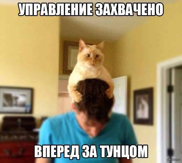 Управление) | Пикабу