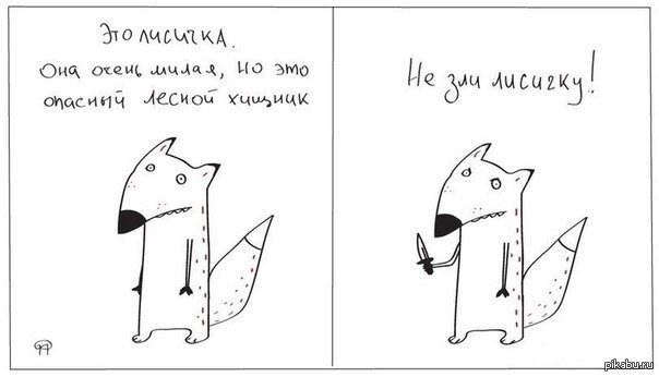 Это лисичка | Пикабу